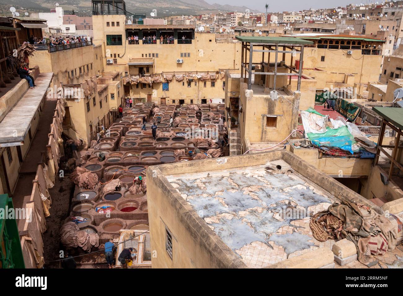 Fes, Morocco, Famous tannery in the medina of Fes, where leather is ...