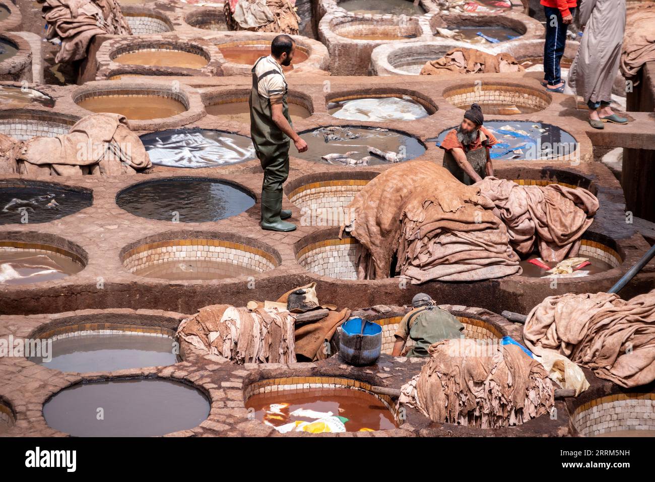 Fes, Morocco, Famous tannery in the medina of Fes, where leather is ...