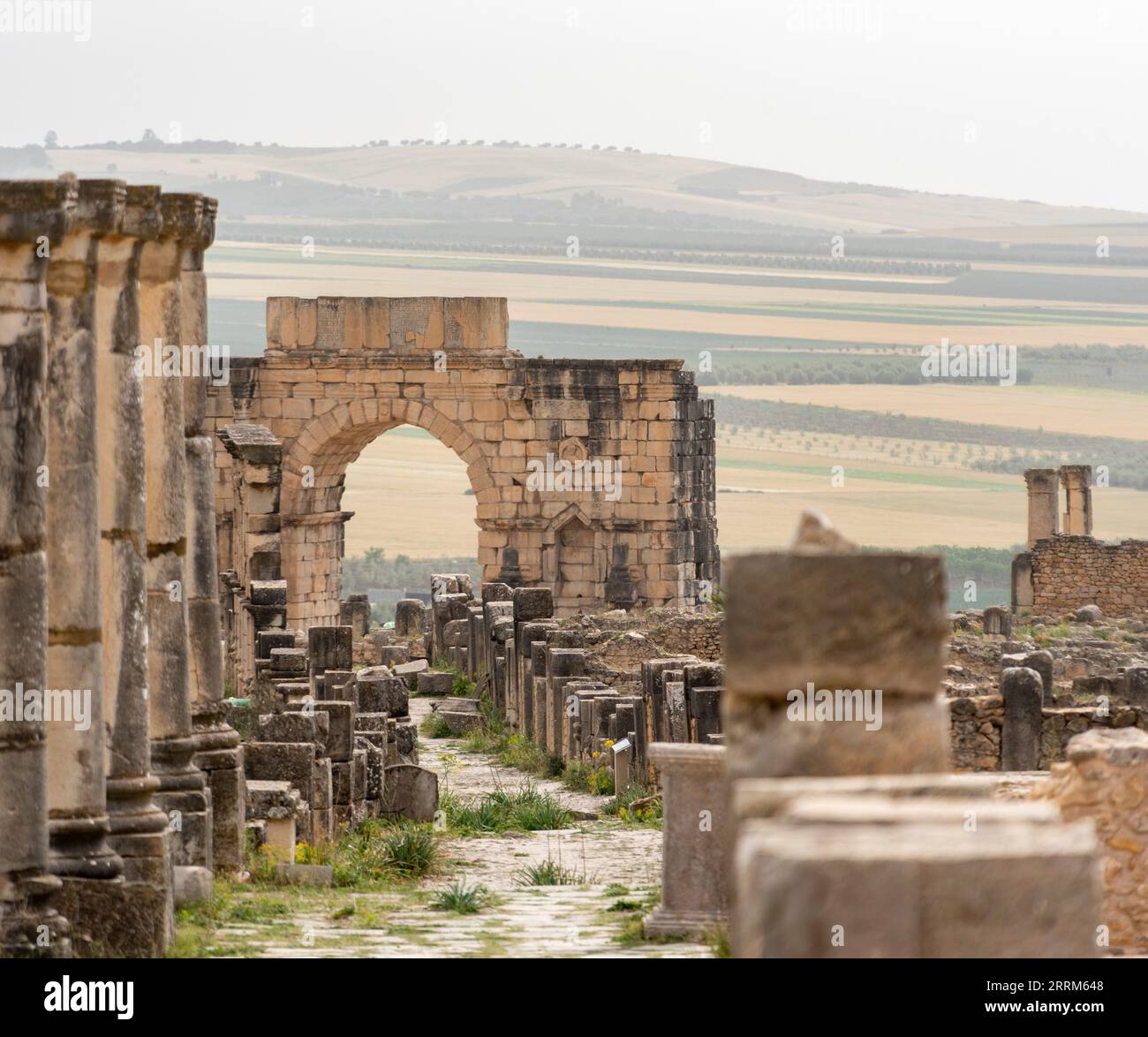 Iconic Triumphal Arch of Volubilis, an old ancient Roman city in ...