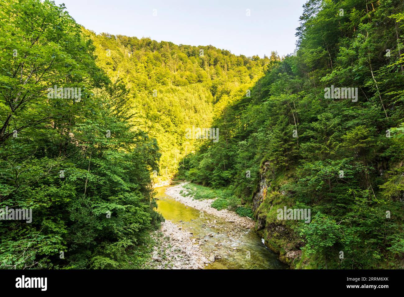 national park Kalkalpen, valley of stream Großer Bach in Steyr ...