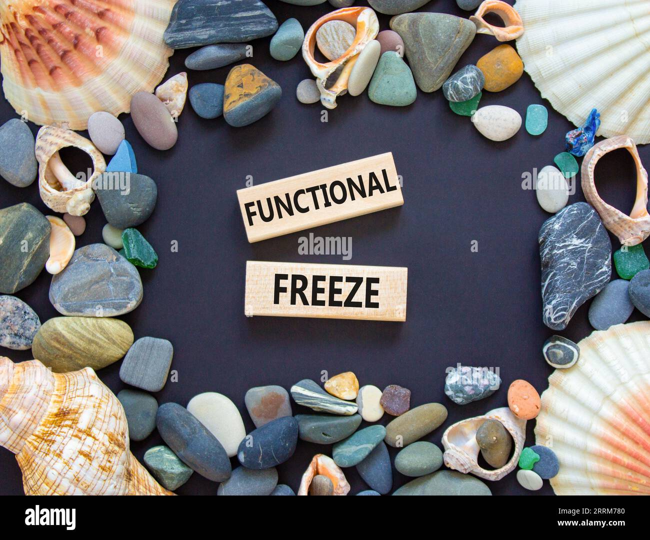 Functional freeze symbol. Concept words Functional freeze on beautiful ...
