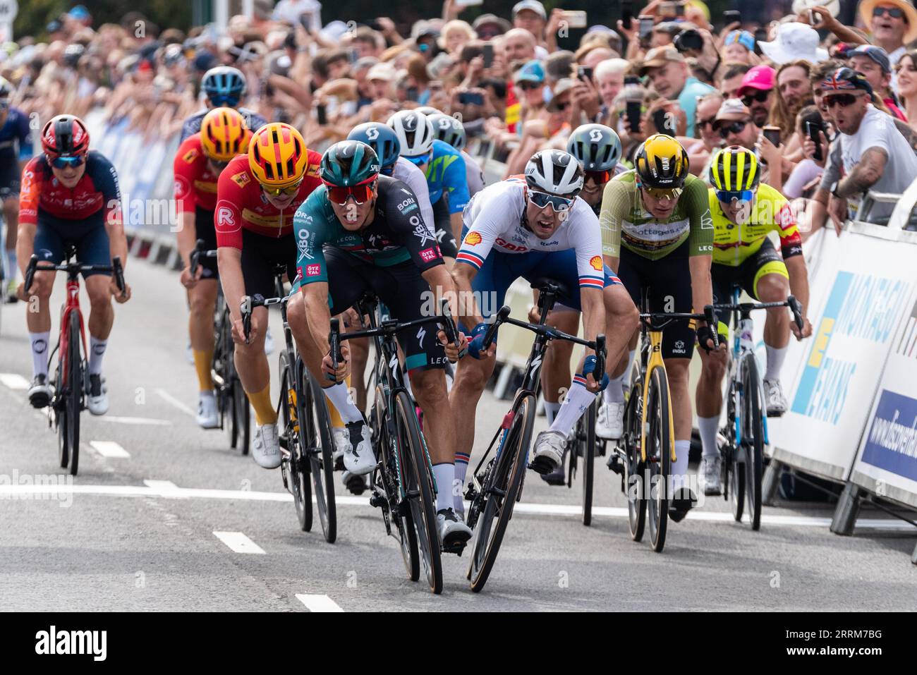 Sprint finish at the Tour of Britain cycle race Stage 6 at the finish ...