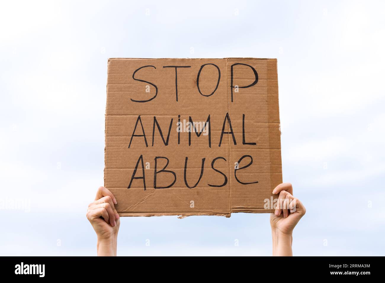 banner in hand stop animal abuse against the sky Stock Photo - Alamy