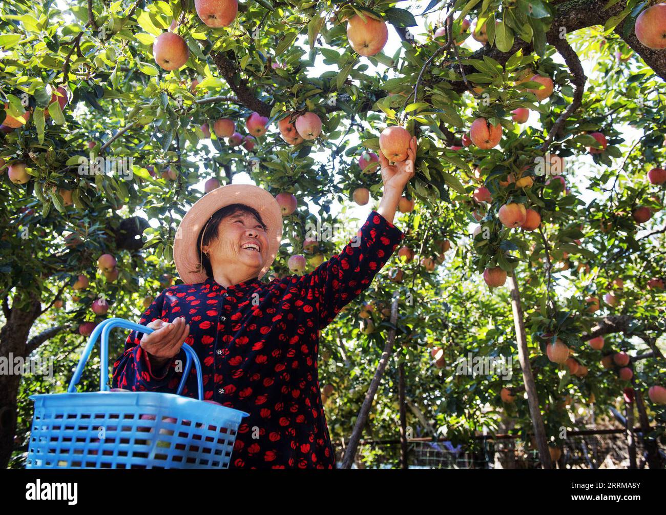 Wangxzhaomai hi-res stock photography and images - Alamy