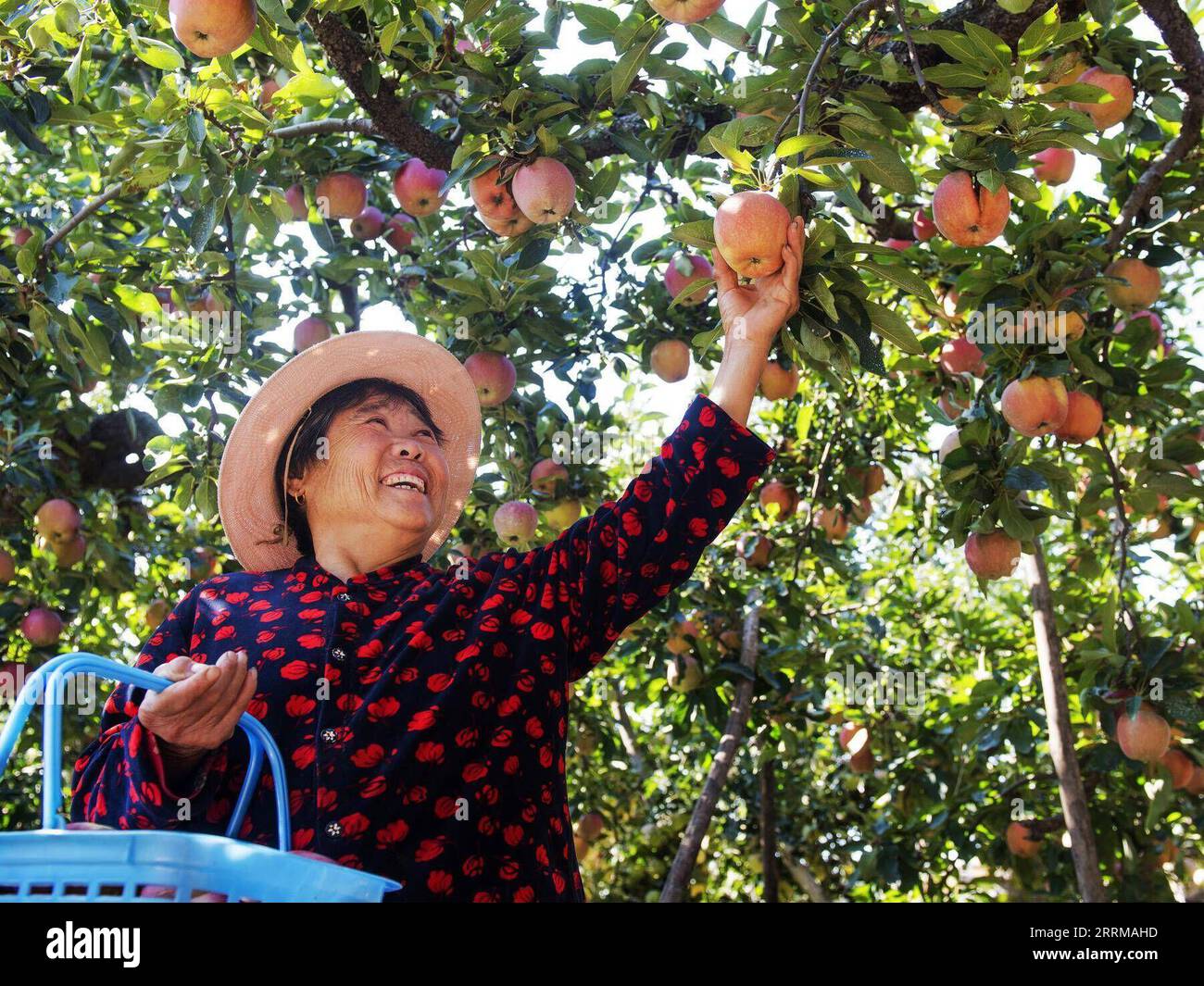 Wangxzhaomai hi-res stock photography and images - Alamy