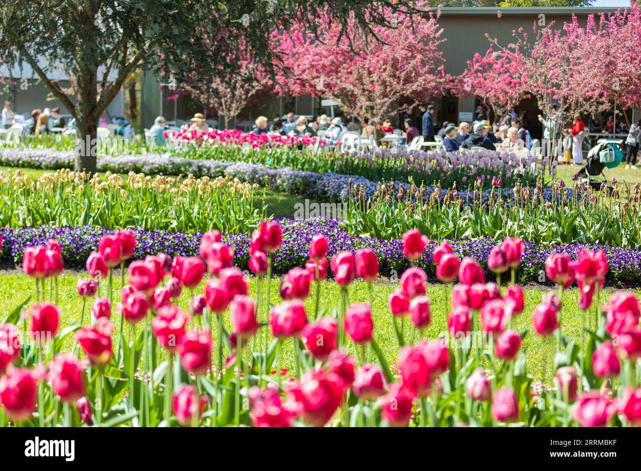 221015 -- CANBERRA, Oct. 15, 2022 -- Photo taken on Oct. 15, 2022 shows ...