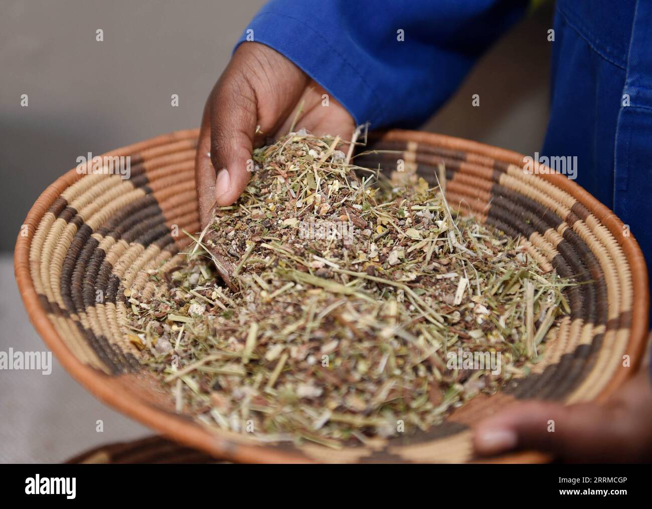 221017 -- MOLEPOLOLE BOTSWANA, Oct. 17, 2022 -- Photo taken on Sept. 20 ...