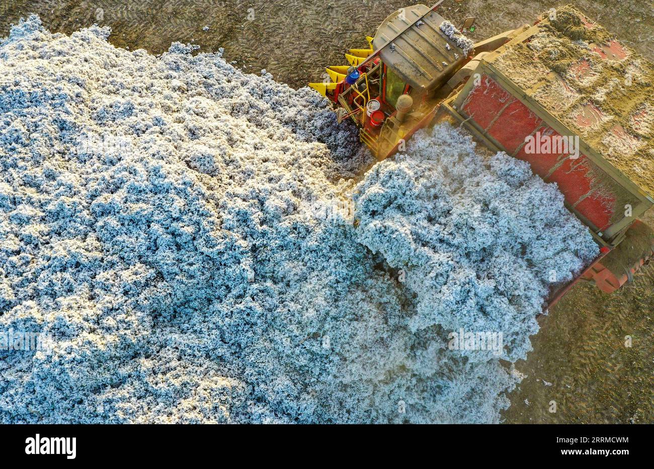 Cotton picker aerial hi-res stock photography and images - Alamy
