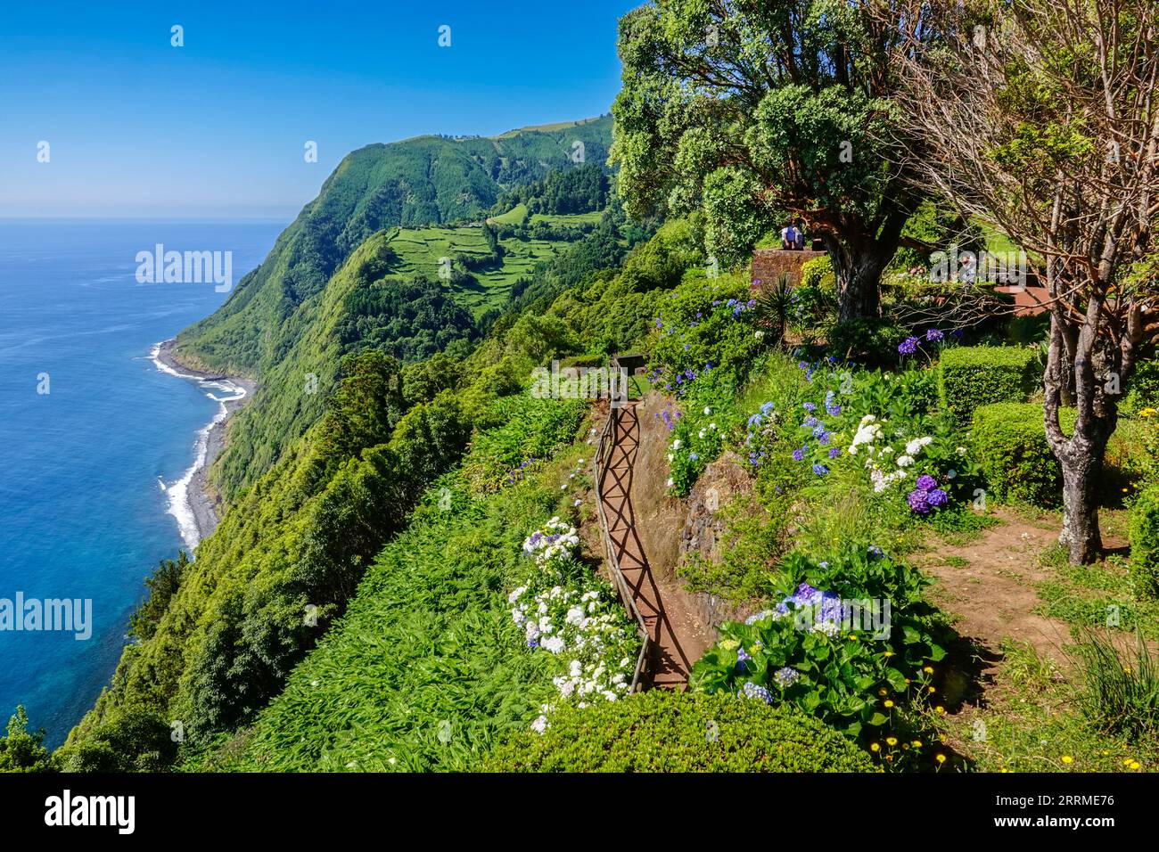 Hiking trail clinging to the cliffs edge surrounded by blooming ...