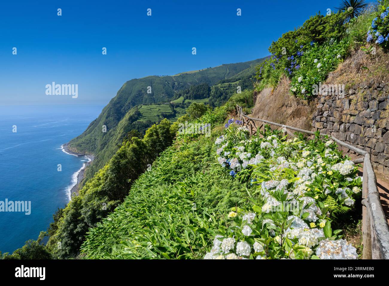 Hiking trail clinging to the cliffs edge surrounded by blooming ...