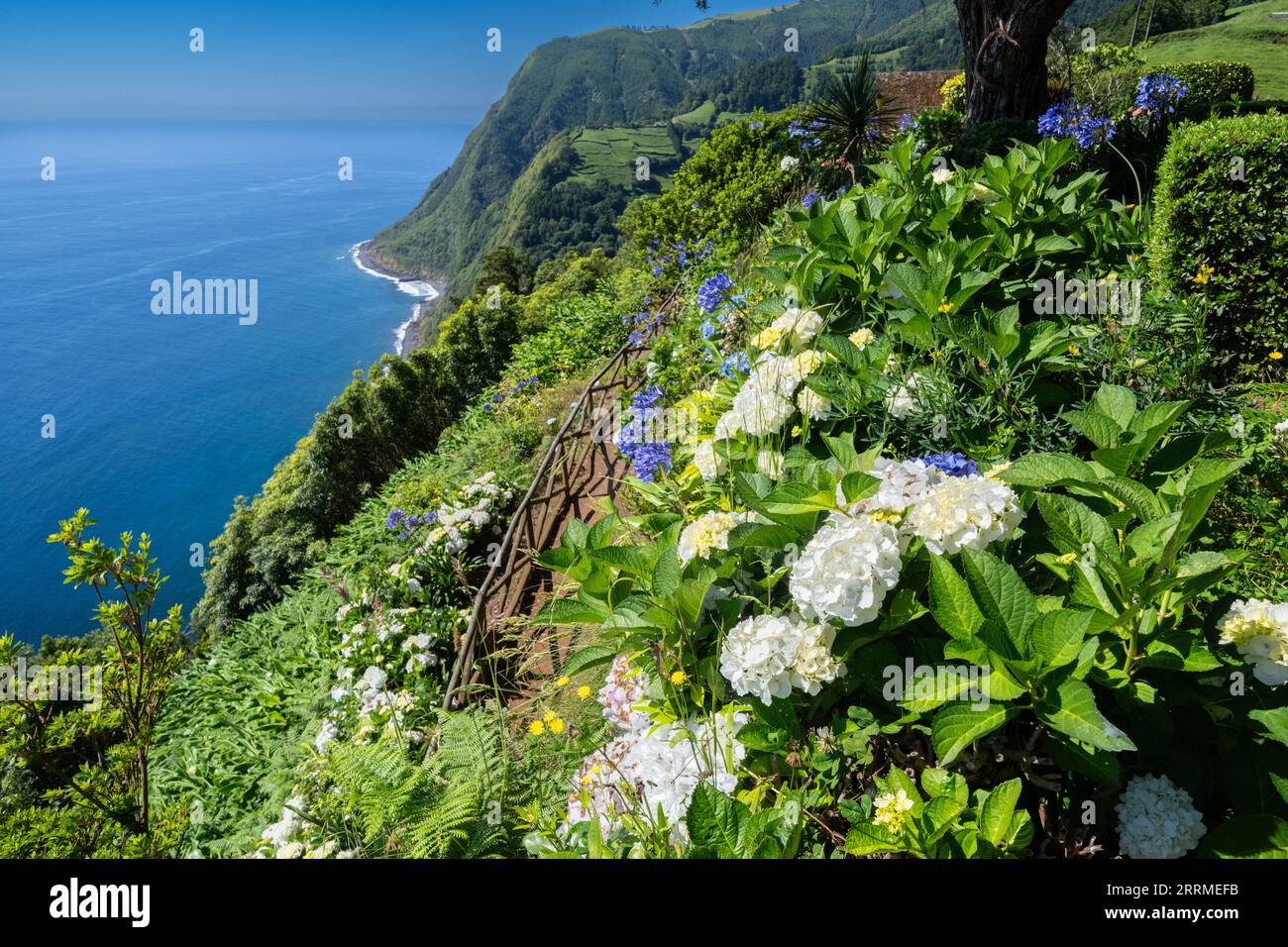 Hiking trail clinging to the cliffs edge surrounded by blooming ...
