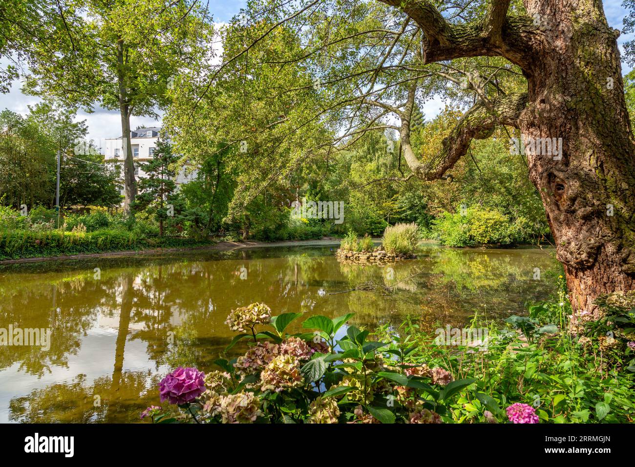 Beautiful, peaceful landscape with vibrant trees and plants at ...