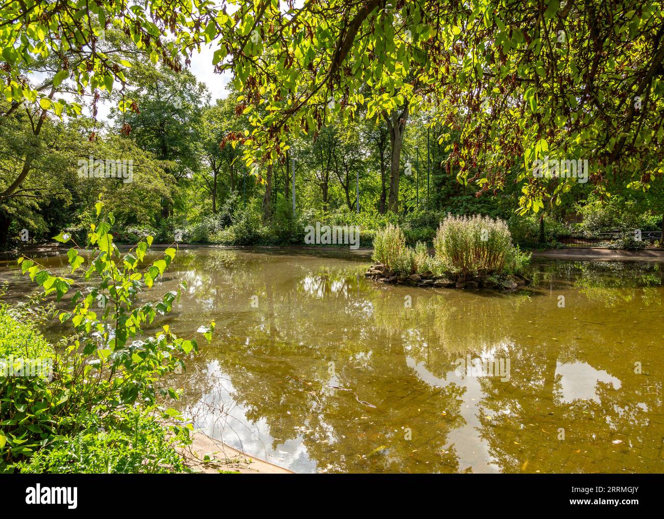 Beautiful, peaceful landscape with vibrant trees and plants at ...