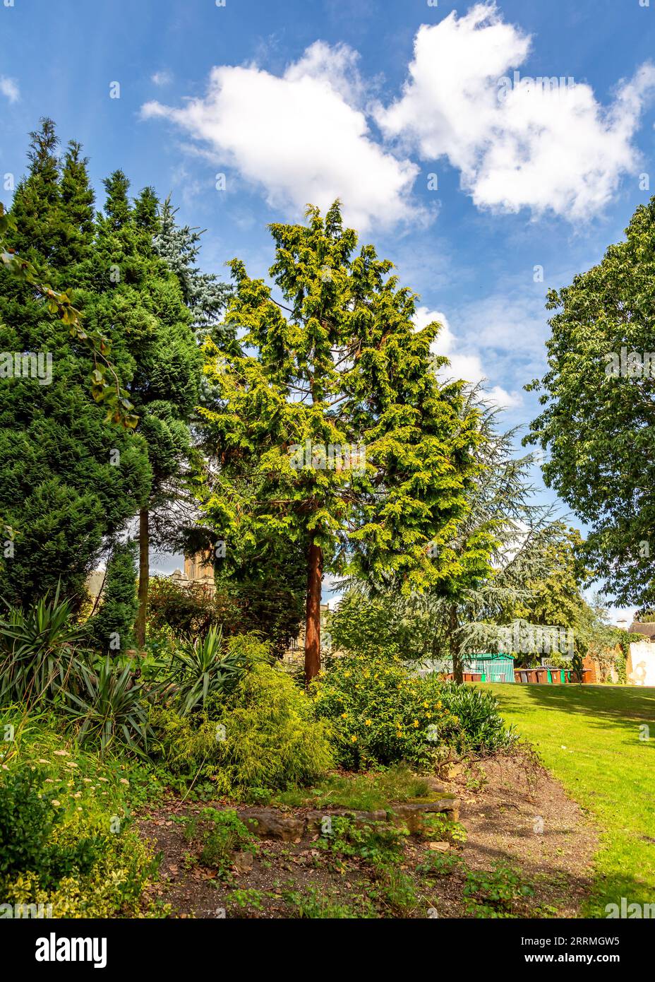 Beautiful, peaceful landscape with vibrant trees and plants at ...