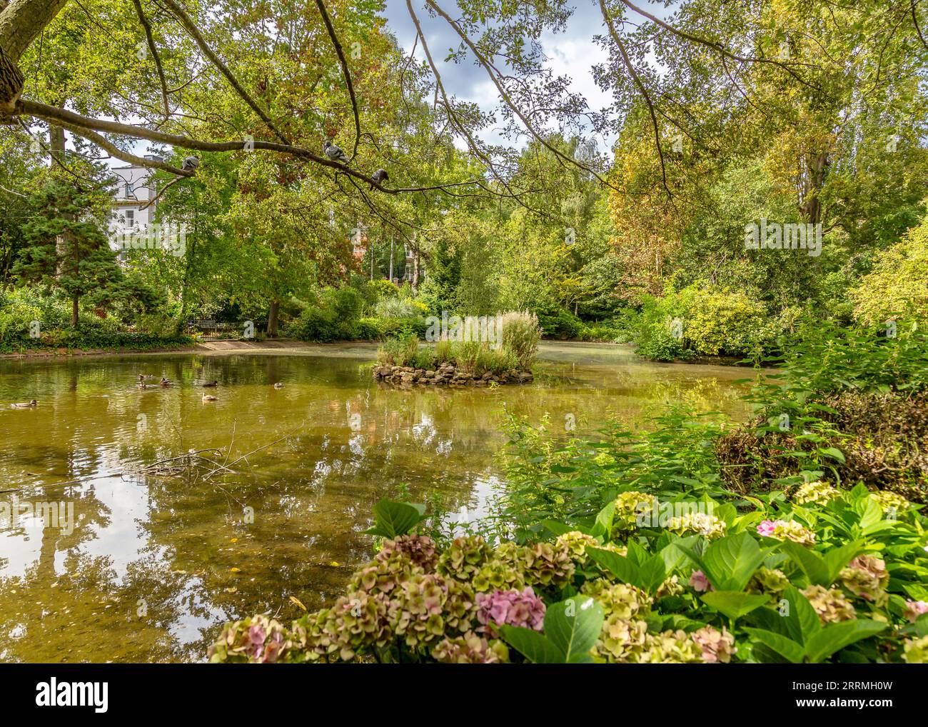 Beautiful, peaceful landscape with vibrant trees and plants at ...