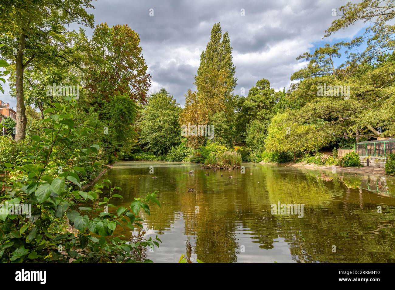 Beautiful, peaceful landscape with vibrant trees and plants at ...