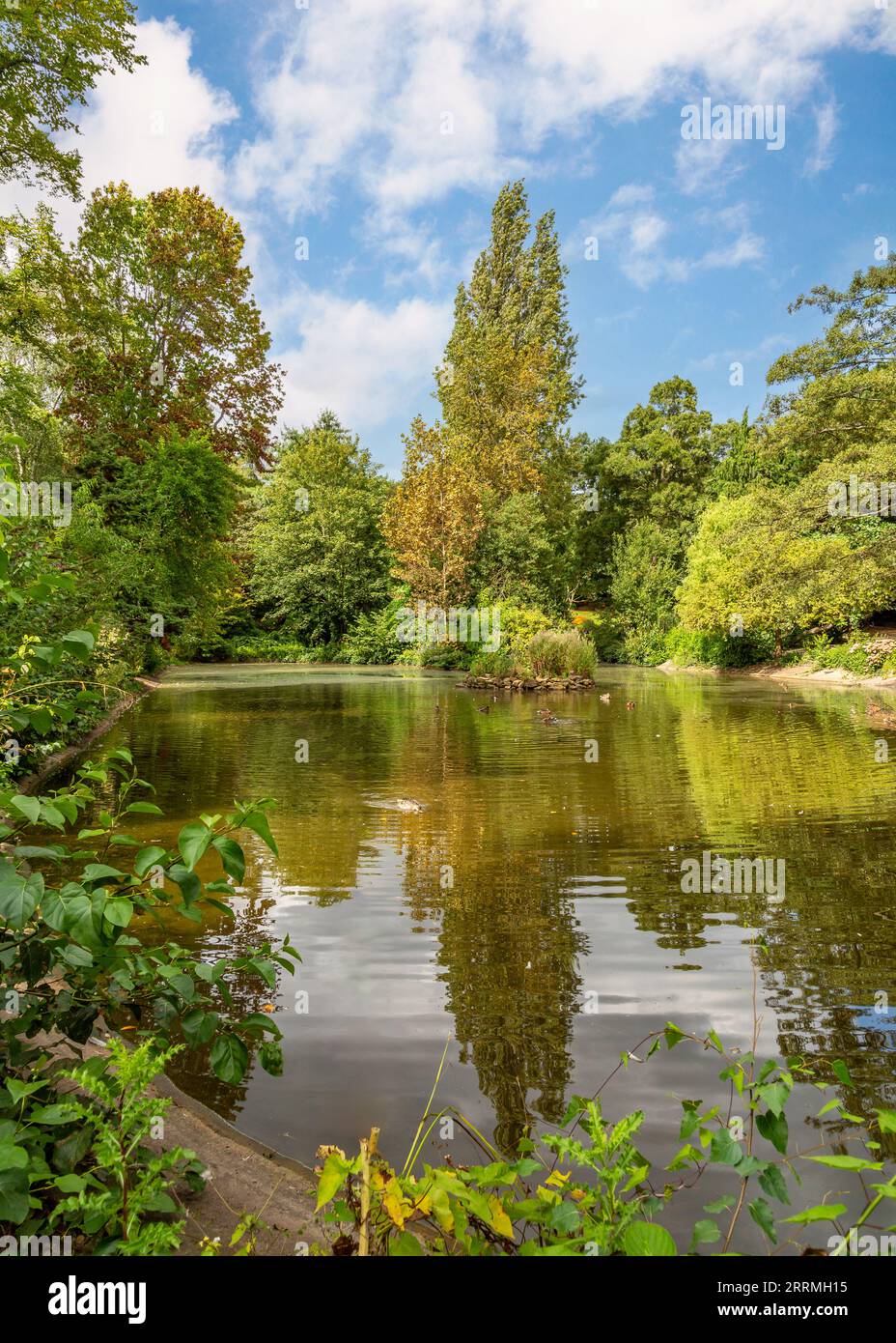 Nottingham arboretum park hi-res stock photography and images - Alamy