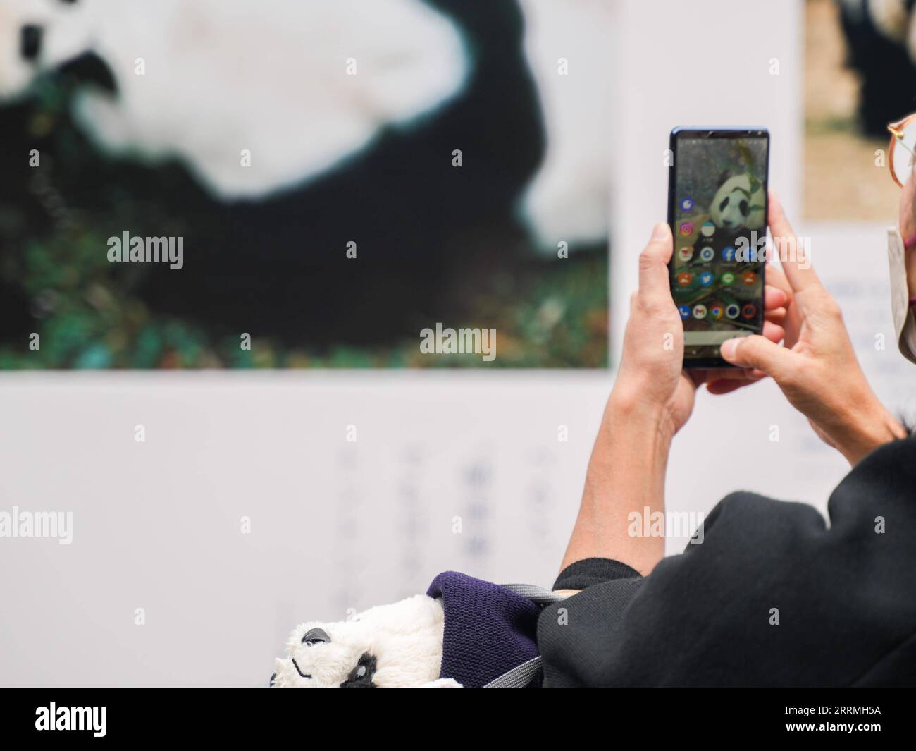 221029 -- TOKYO, Oct. 29, 2022 -- A woman prepares to take photos of a ...