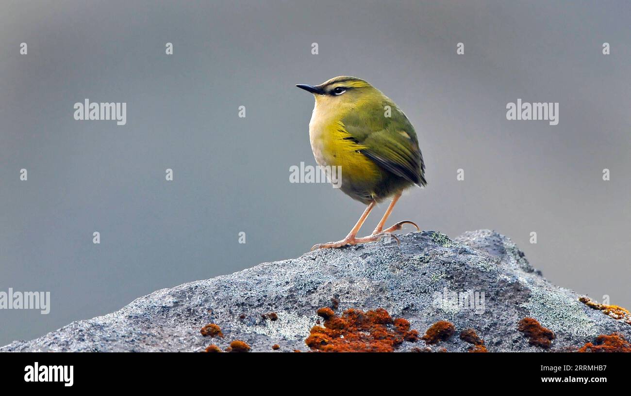 221031 -- WELLINGTON, Oct. 31, 2022 -- This undated file photo shows a ...