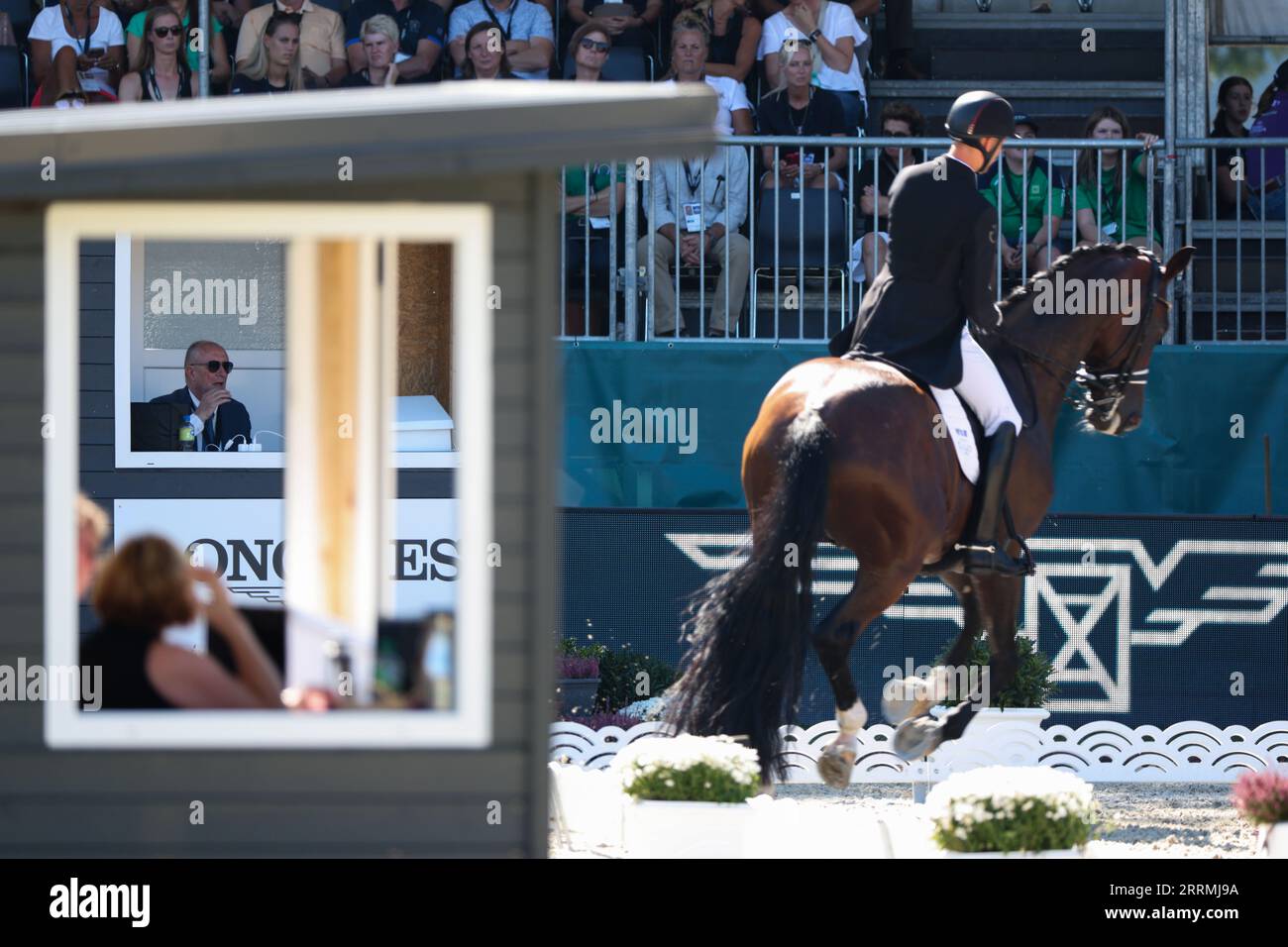 Riesenbeck, Germany. 08th Sep, 2023. Equestrian sport: European ...