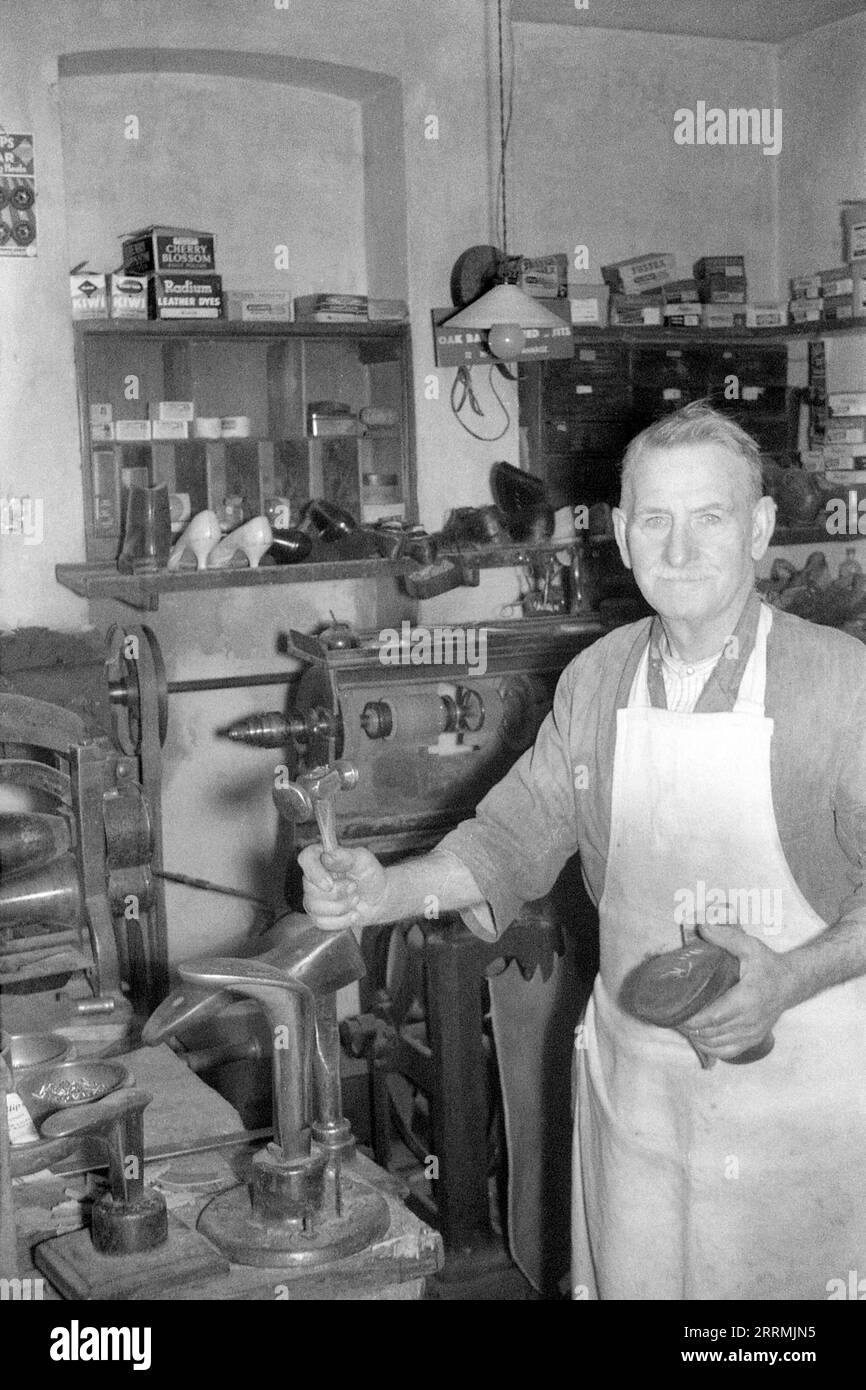 England. c.1960 – A cobbler posing for a photograph in his workshop. He ...