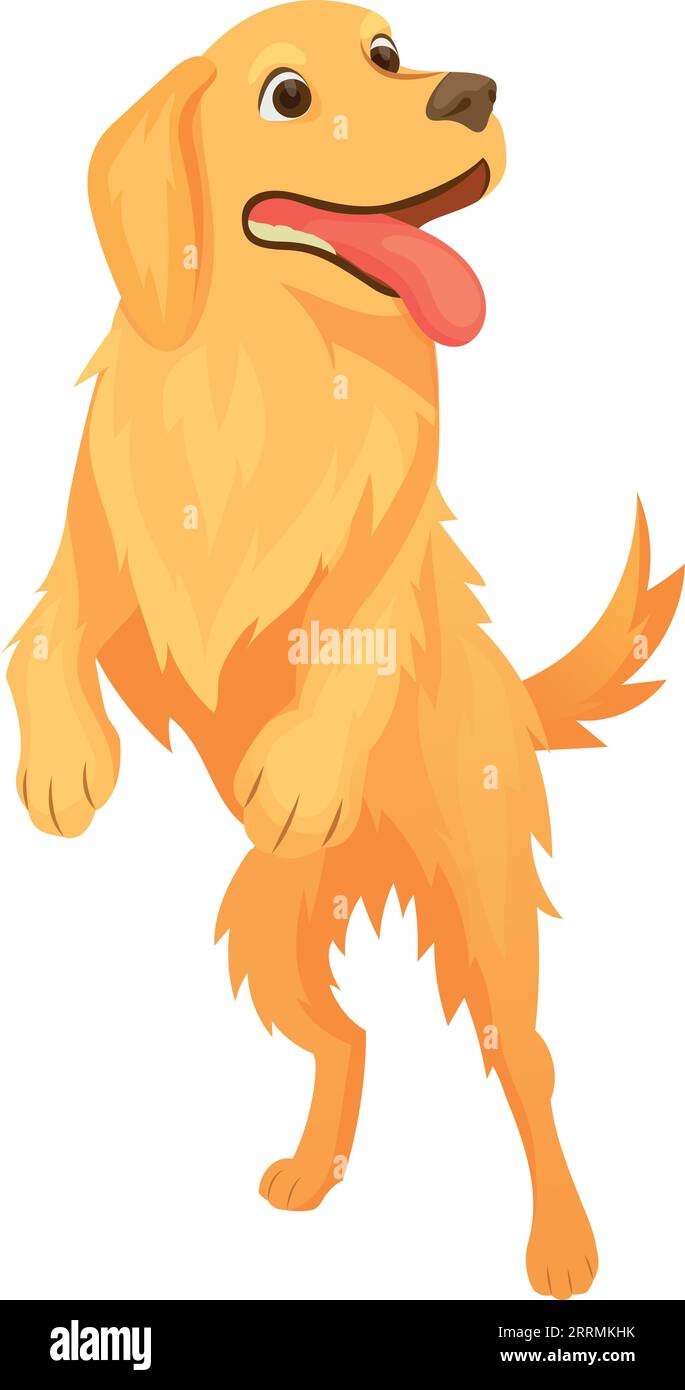 Funny dog stand on two legs. Pet show trick isolated on white ...