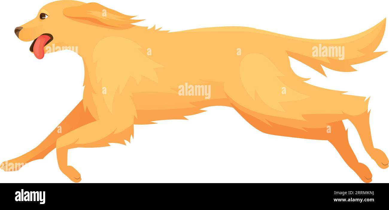 Running dog. Active animal. Happy jumping pet isolated on white ...