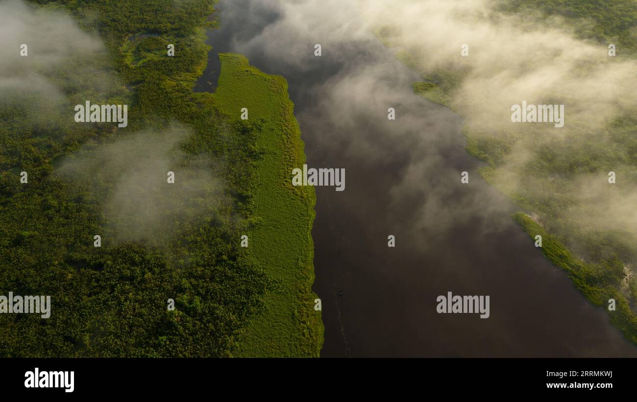 Arboles de playa hi-res stock photography and images - Alamy