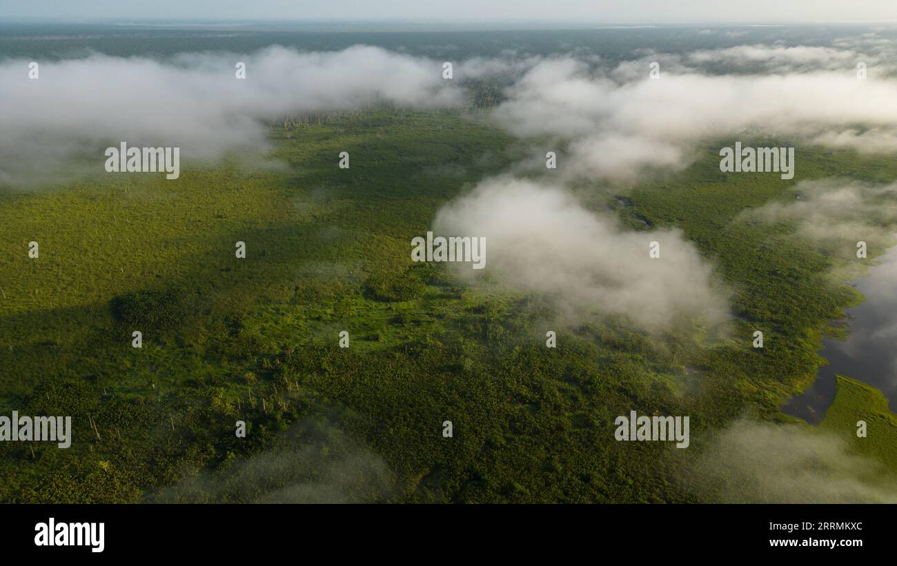 Arboles de playa hi-res stock photography and images - Alamy