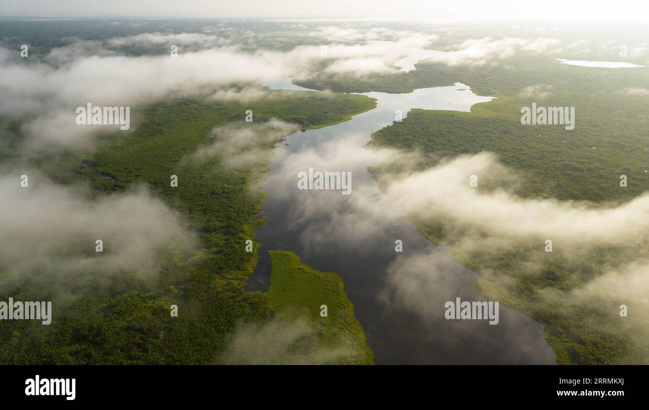 Arboles de playa hi-res stock photography and images - Alamy