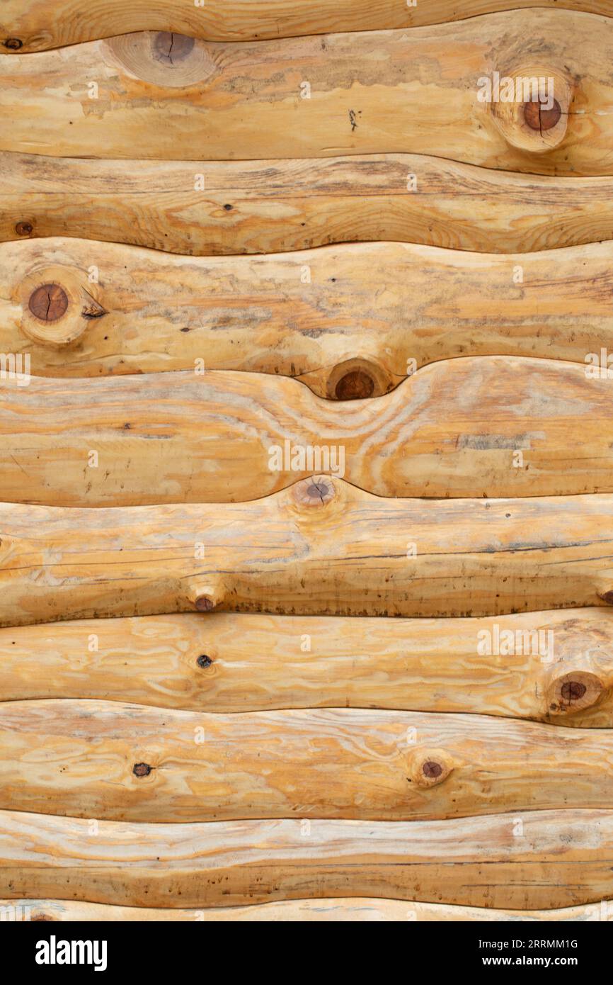 Nature's Patina: The Captivating Old Plank Wooden Texture Stock Photo ...