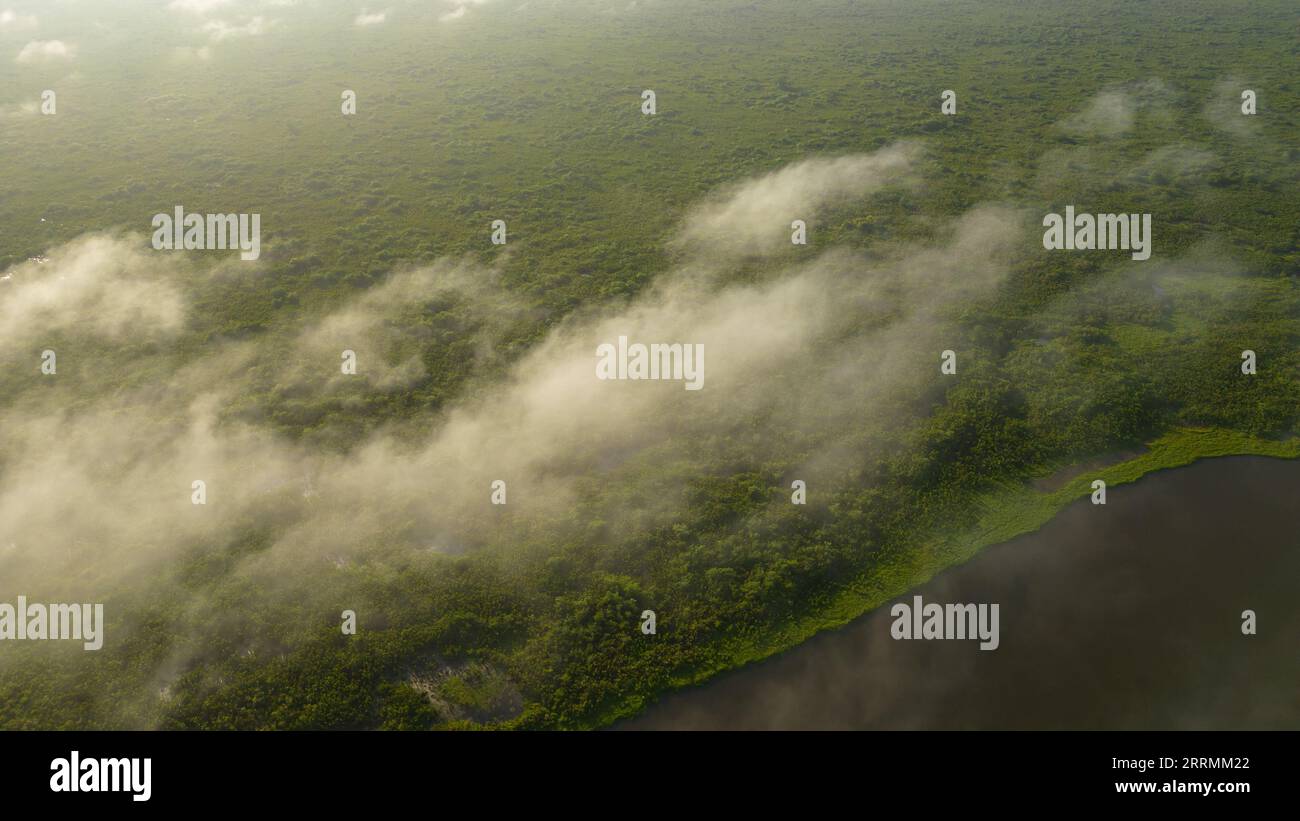 Fauna de agua hi-res stock photography and images - Alamy