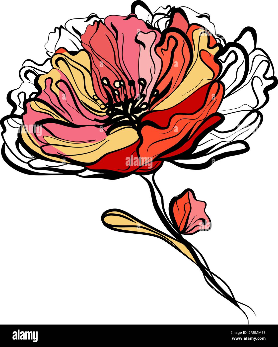 Poppies flower in spring Stock Vector Images - Alamy