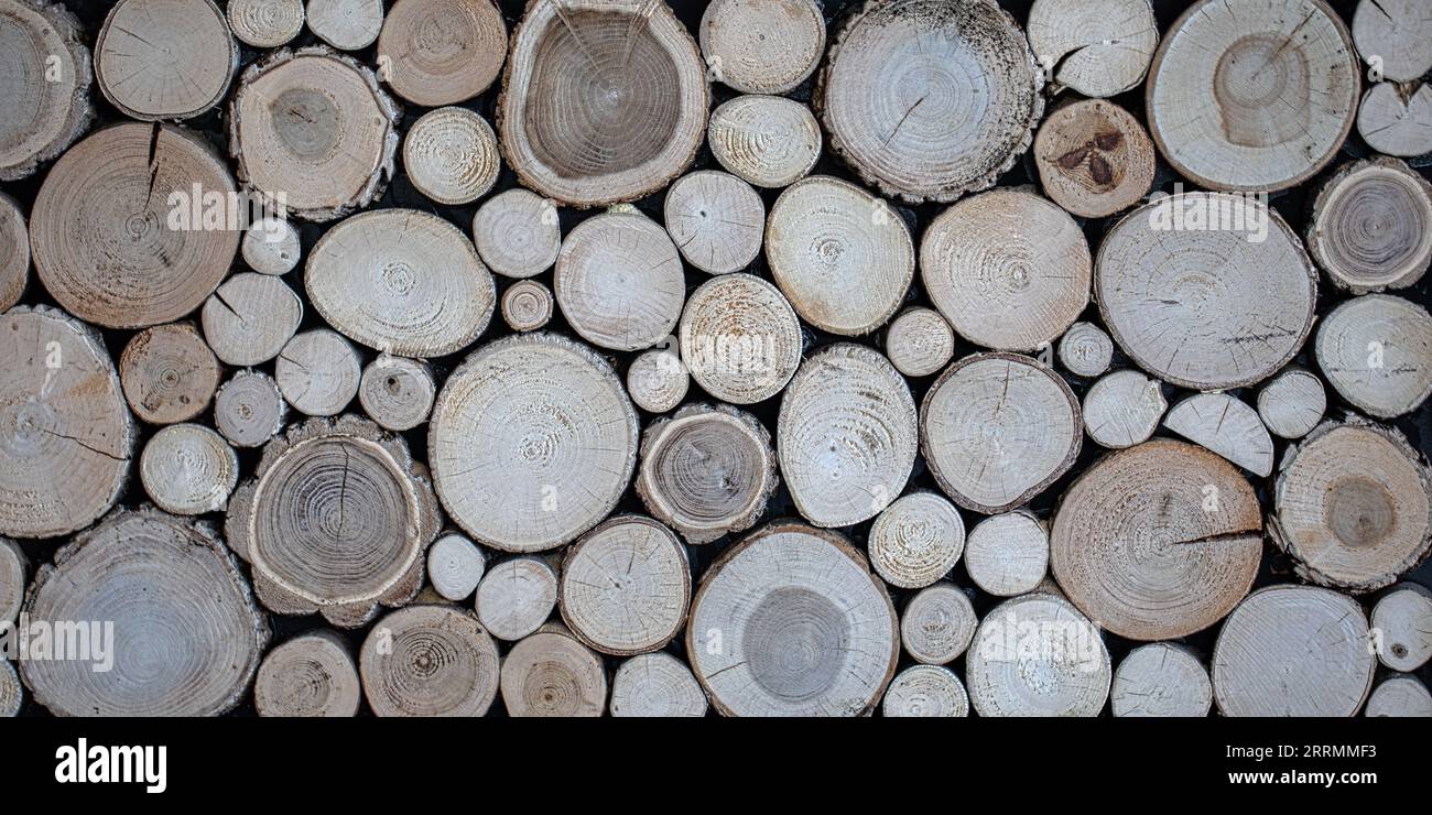 Timber's Tapestry: Exploring Decorative Wood Grain in Cross-Cuts Stock ...