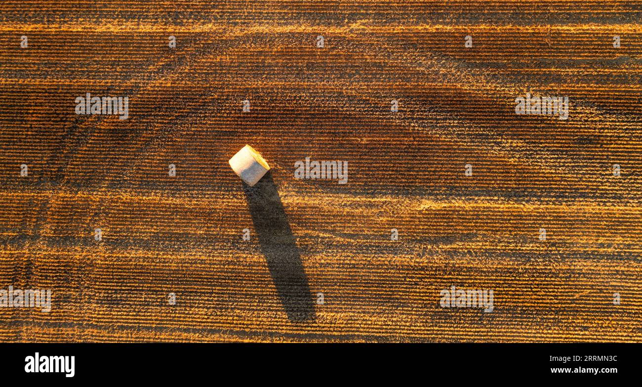 Aerial Harvest: Scenic Overlook of Field with Haystacks Stock Photo - Alamy