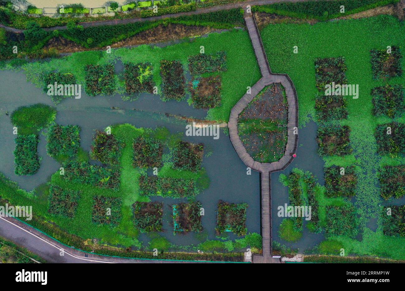 Chn chongqing wetlands hi-res stock photography and images - Alamy