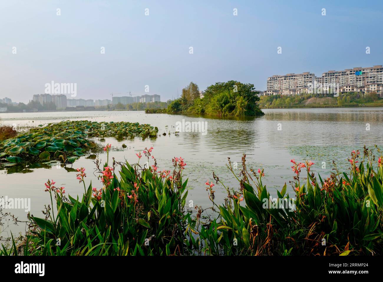 Chia chongqing wetlands hi-res stock photography and images - Alamy