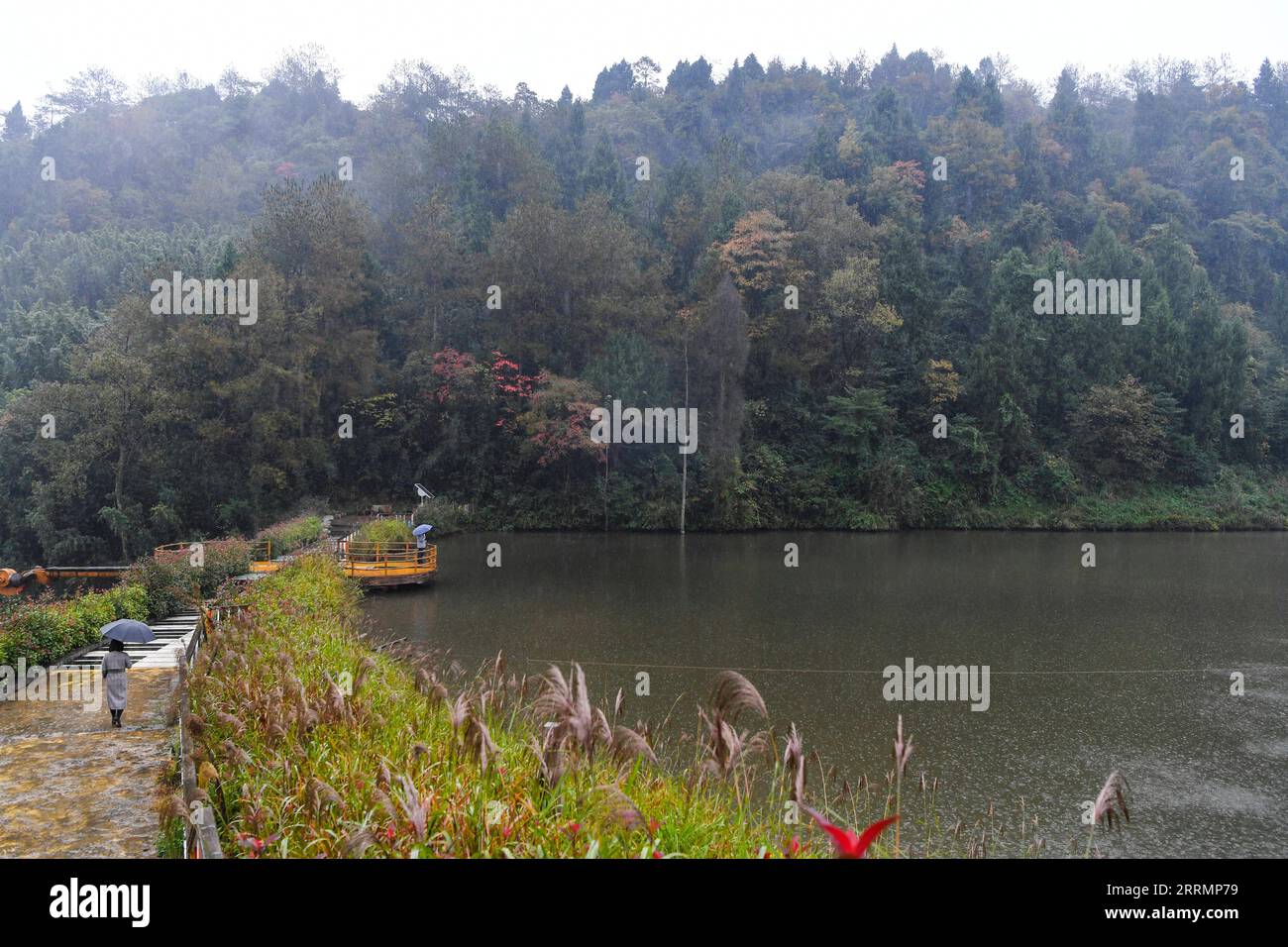 221109 -- CHONGQING, Nov. 9, 2022 -- People visit wetlands in Zhushan ...