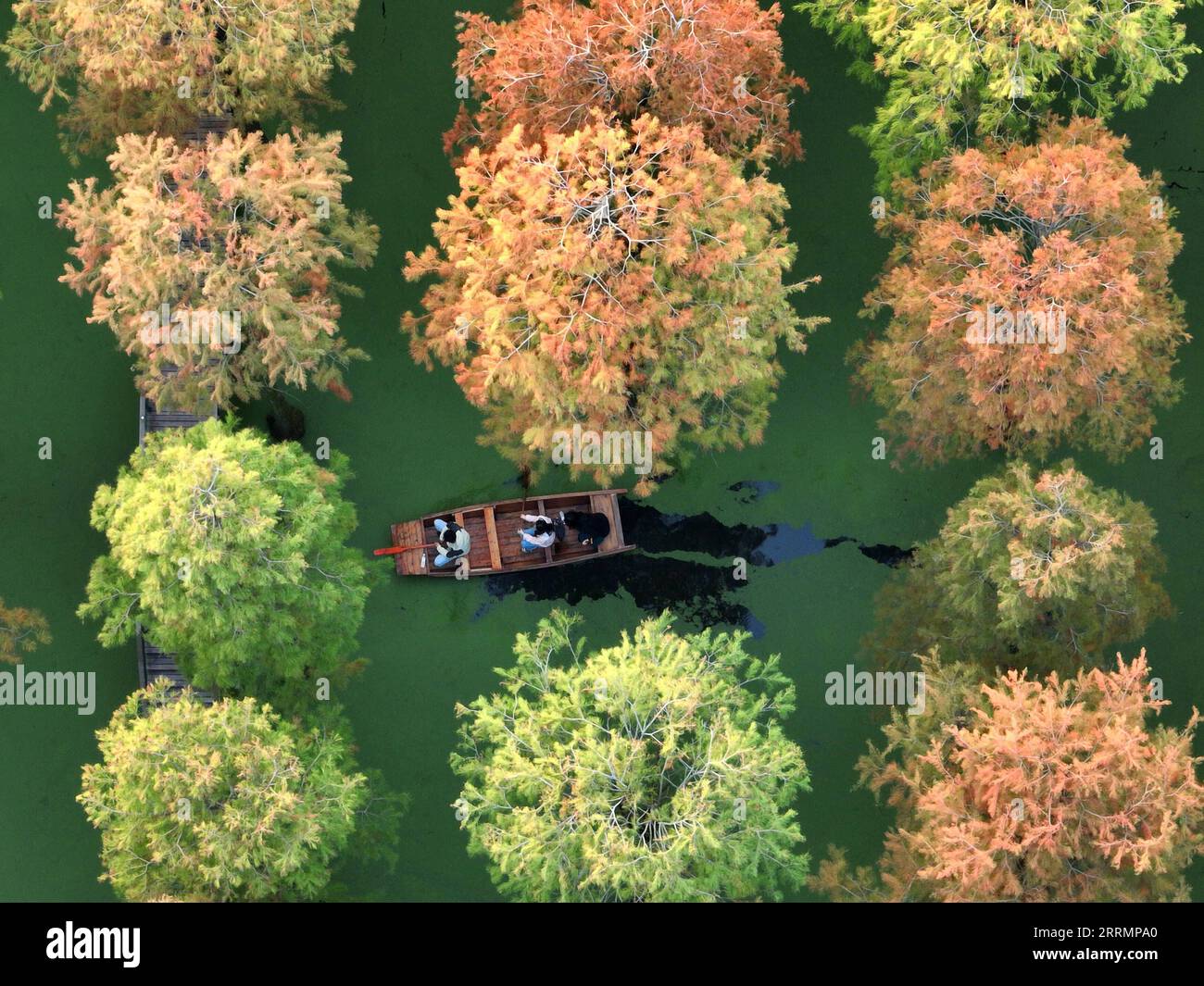 Yangzhou luyang lake wetland park hi-res stock photography and images ...