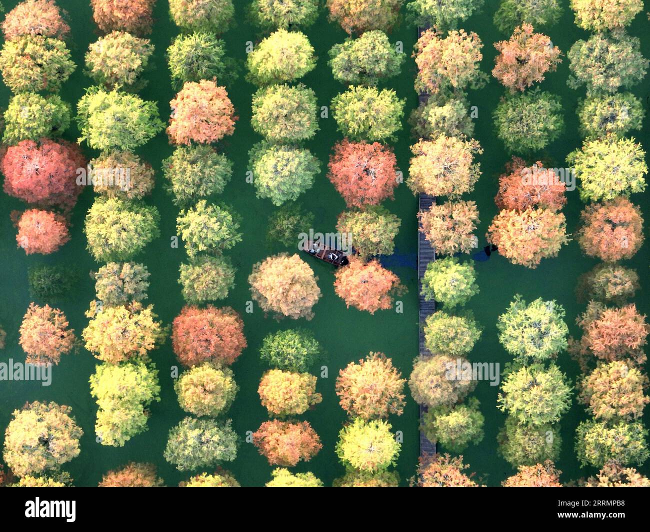 221110 -- YANGZHOU, Nov. 10, 2022 -- This aerial photo taken on Nov. 9 ...