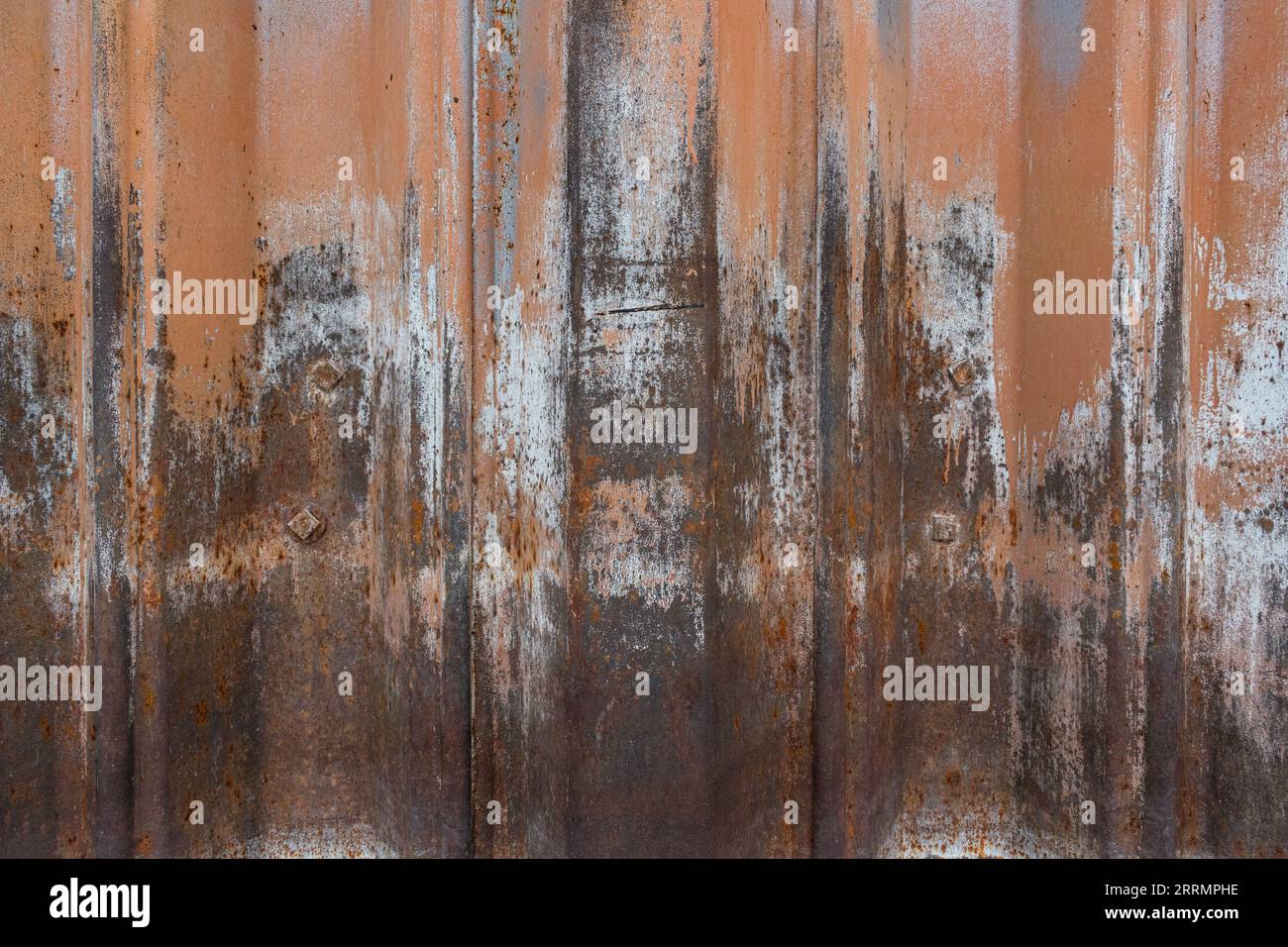 Steel metal wall with various stages of rusting and paint decomposition ...