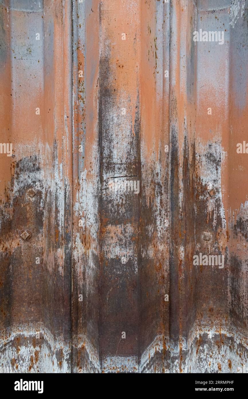 Steel metal wall with various stages of rusting and paint decomposition ...