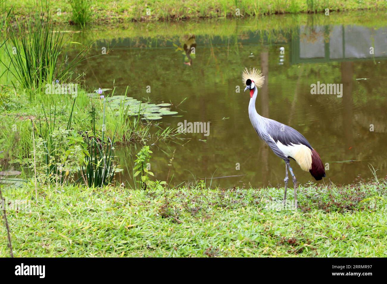 221112 -- KIGALI, Nov. 12, 2022 -- This photo taken on Nov. 11, 2022 ...