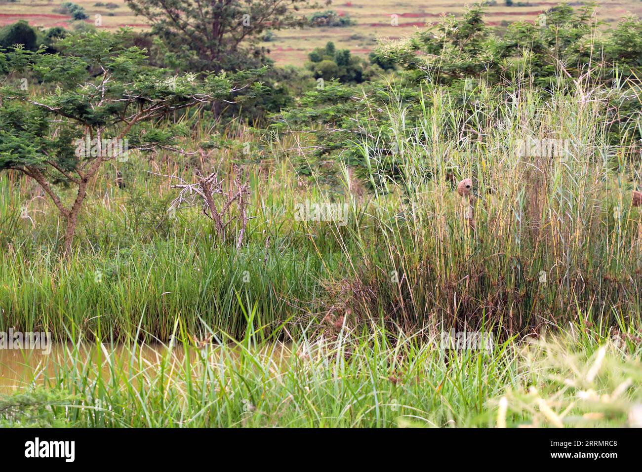 221112 -- KIGALI, Nov. 12, 2022 -- This photo taken on Nov. 11, 2022 ...