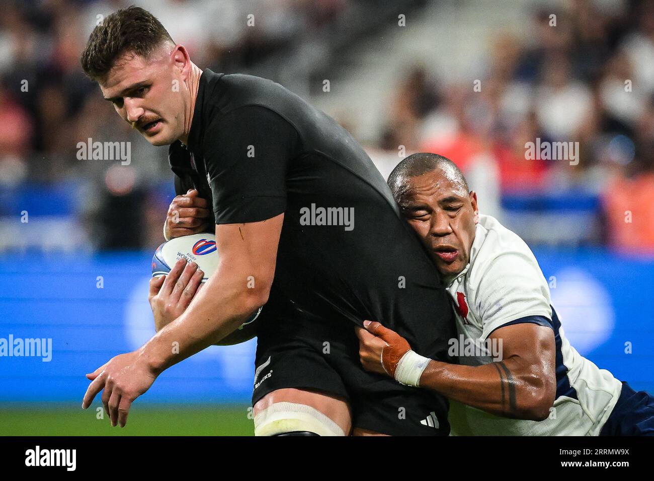 Dalton papalii hi-res stock photography and images - Alamy