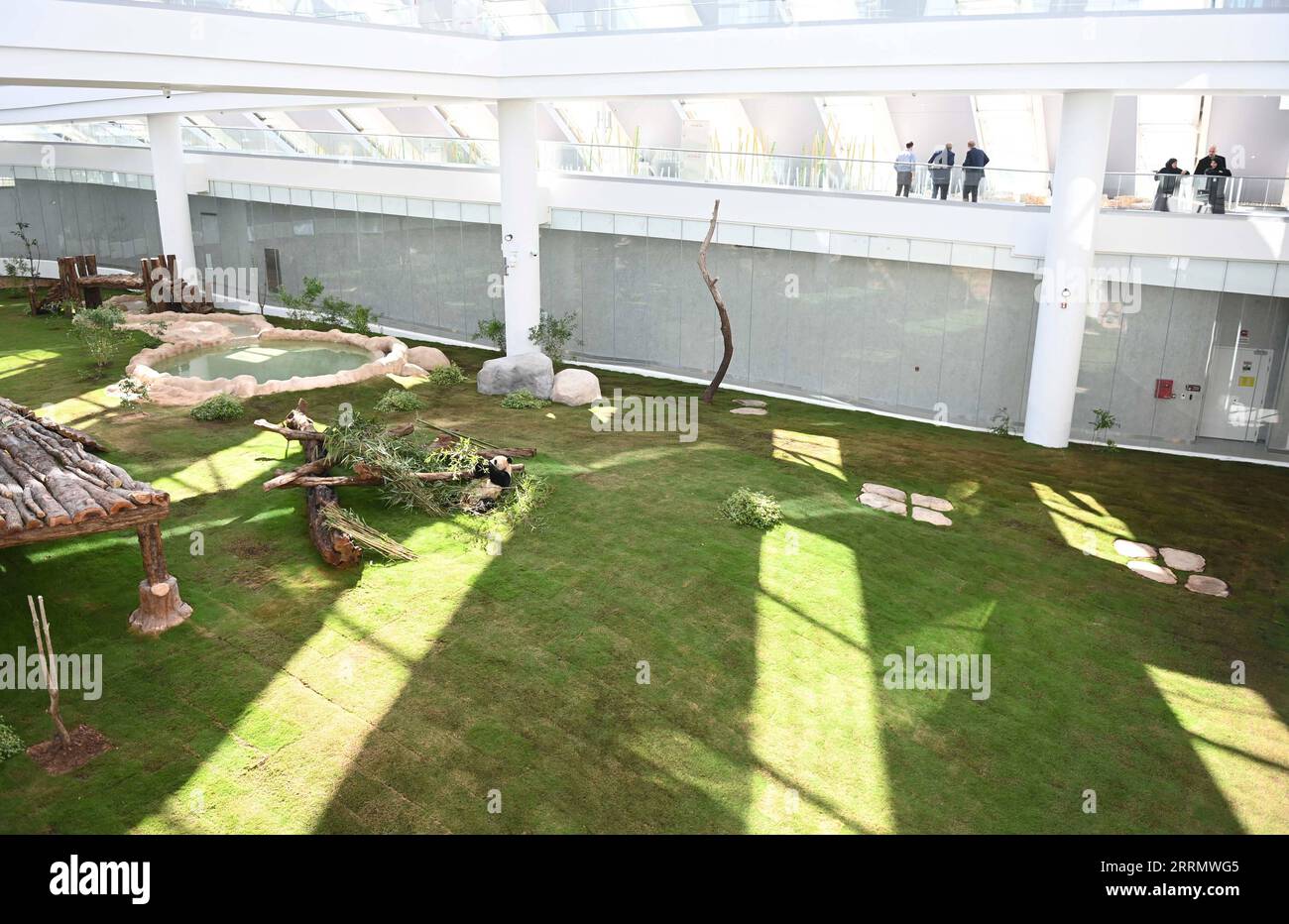 221117 -- DOHA, Nov. 17, 2022 -- The giant panda Jing Jing is seen at ...