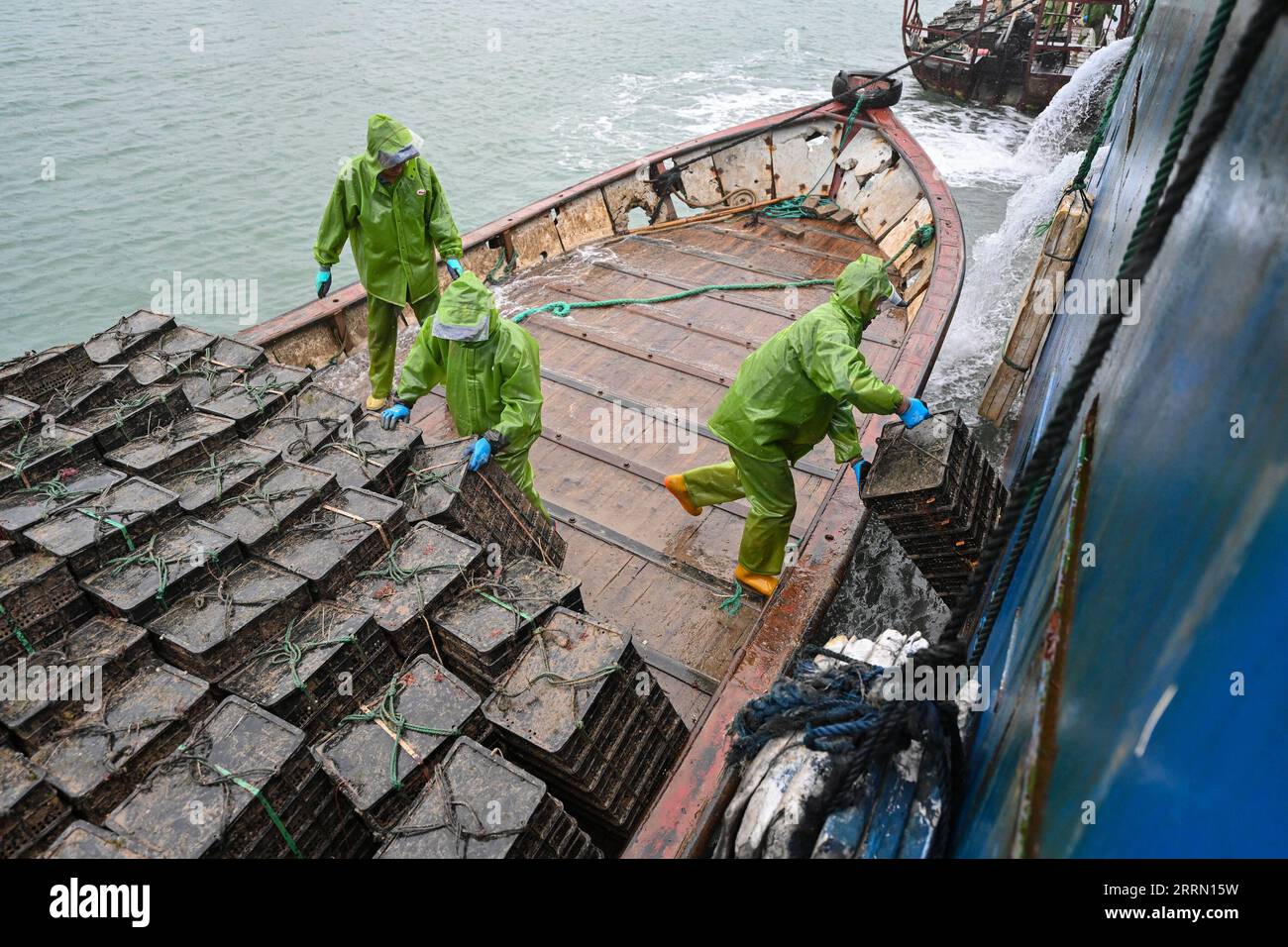 Abalone fishing hi-res stock photography and images - Alamy