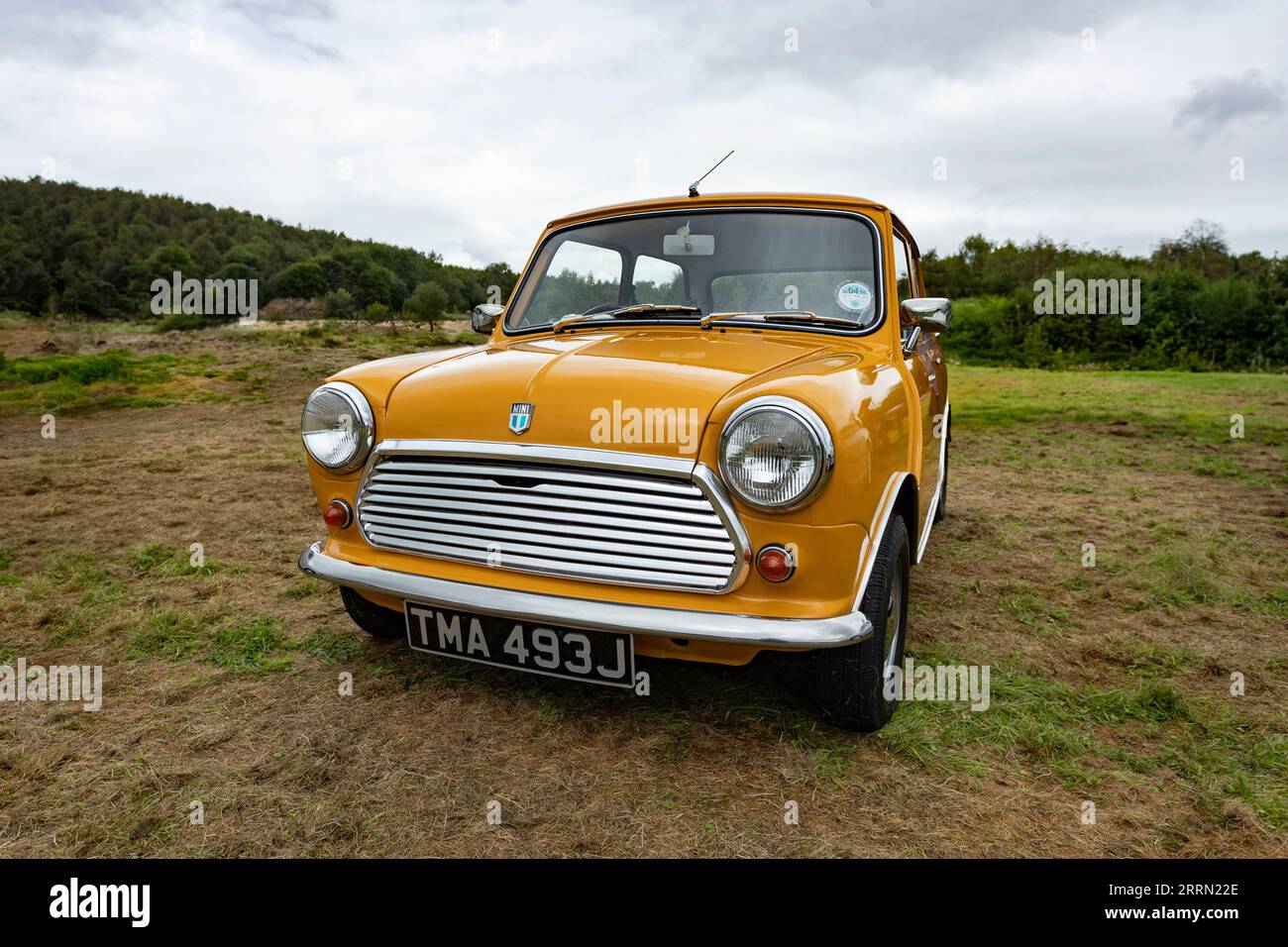 Vintage car india rally hi-res stock photography and images - Alamy