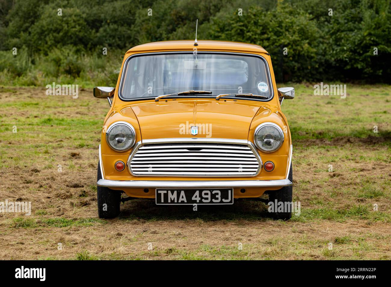 Vintage car india rally hi-res stock photography and images - Alamy