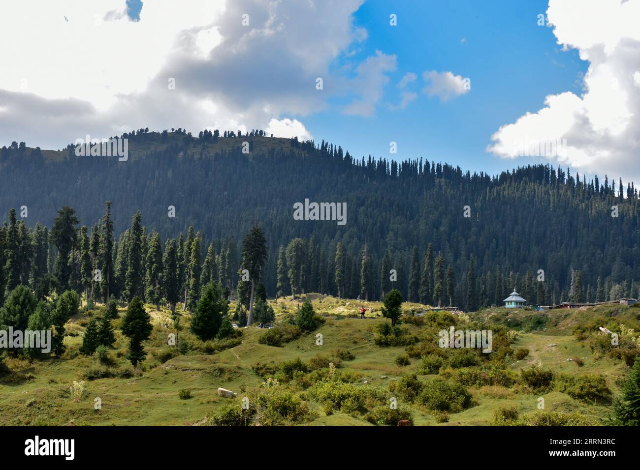 A Mosque is seen with the mountains in the backdrop at Bota Pathri, a ...
